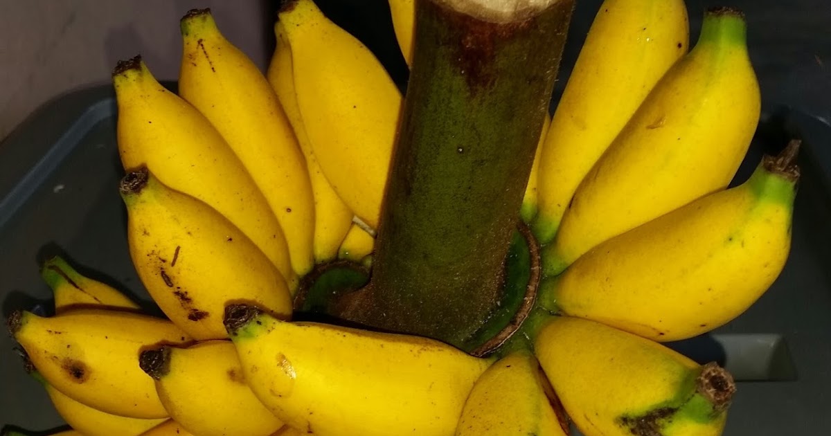 Warisan Petani: Pisang lemak Manis