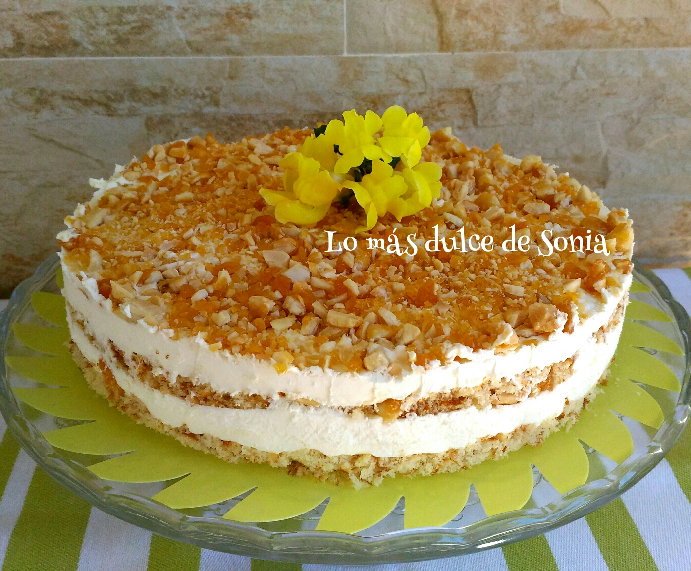 Tarta crocanti helada