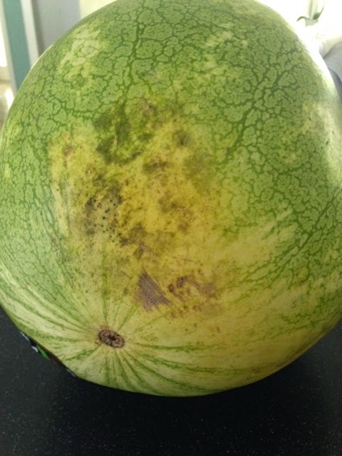 How to Pick a Ripe Watermelon | faithlife365