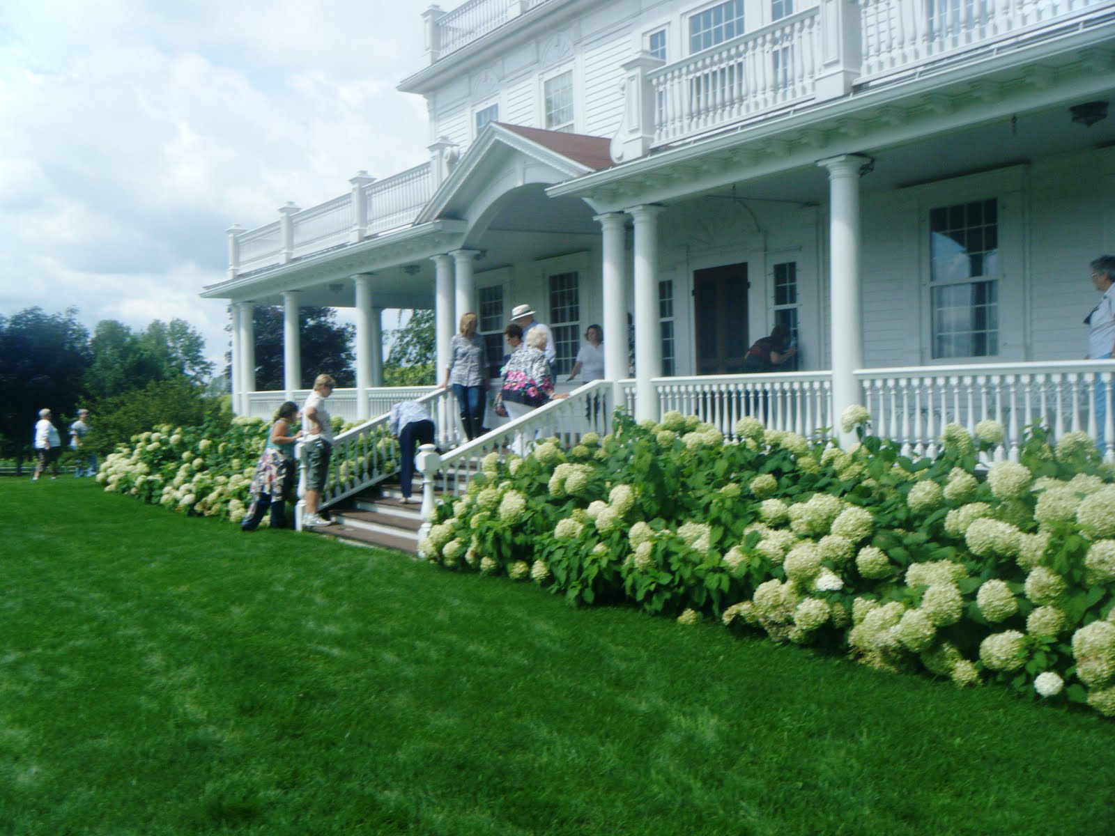 THE GOAT BORROWER: Beekman 1802 and Lots of Goats