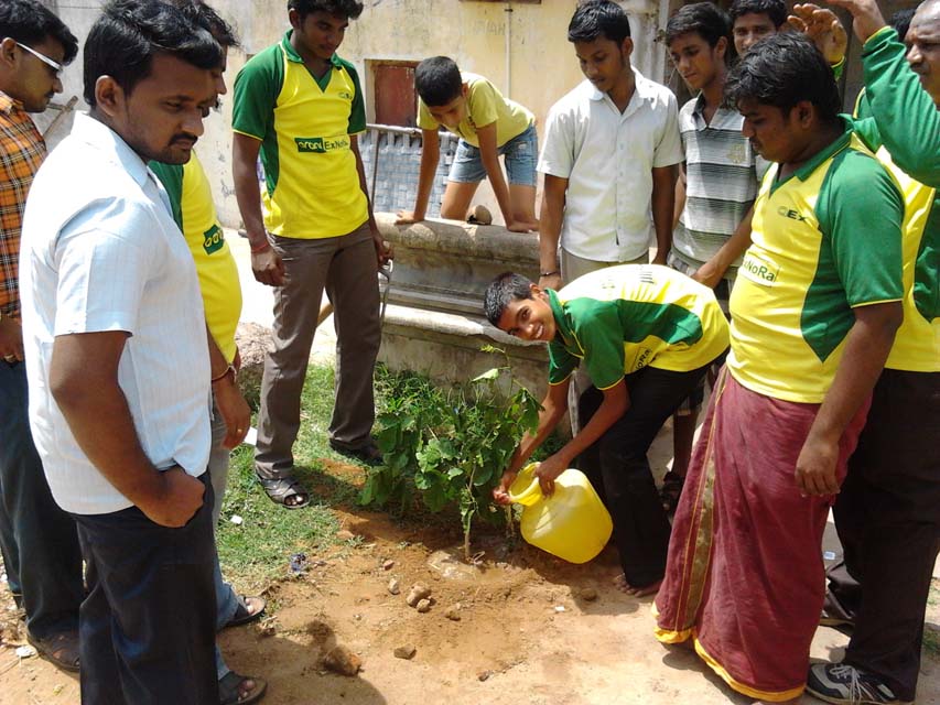 Pillars of India: The Green 500 Tree Plantation Project at Arani by ...