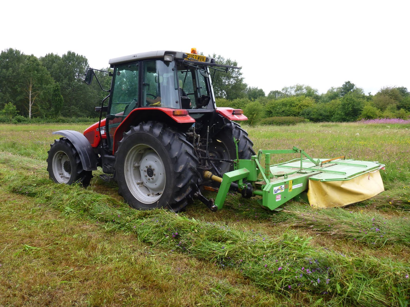 A Ranger, Ranging Far: Green hay strewing to help Linder's Field grassland