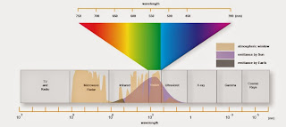 How to grow weed indoors | Ultimate Detox