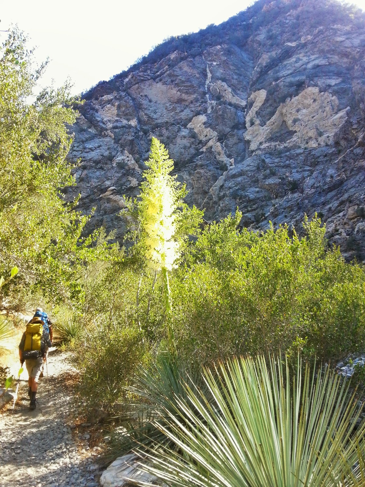 Adventure Los Angeles: Thru Hike East Fork San Gabriel River
