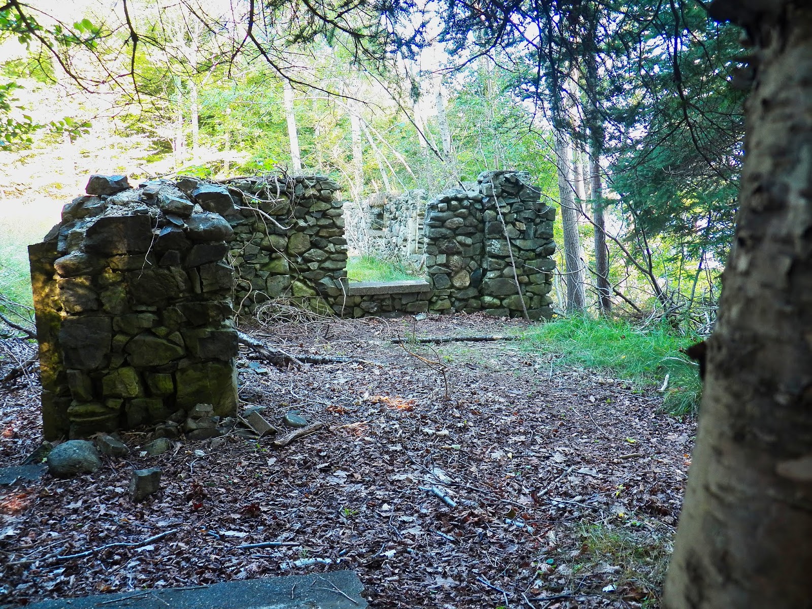 ABANDONED TRAILS OF ACADIA NATIONAL PARK: REMAINS OF JACK PERKINS ...