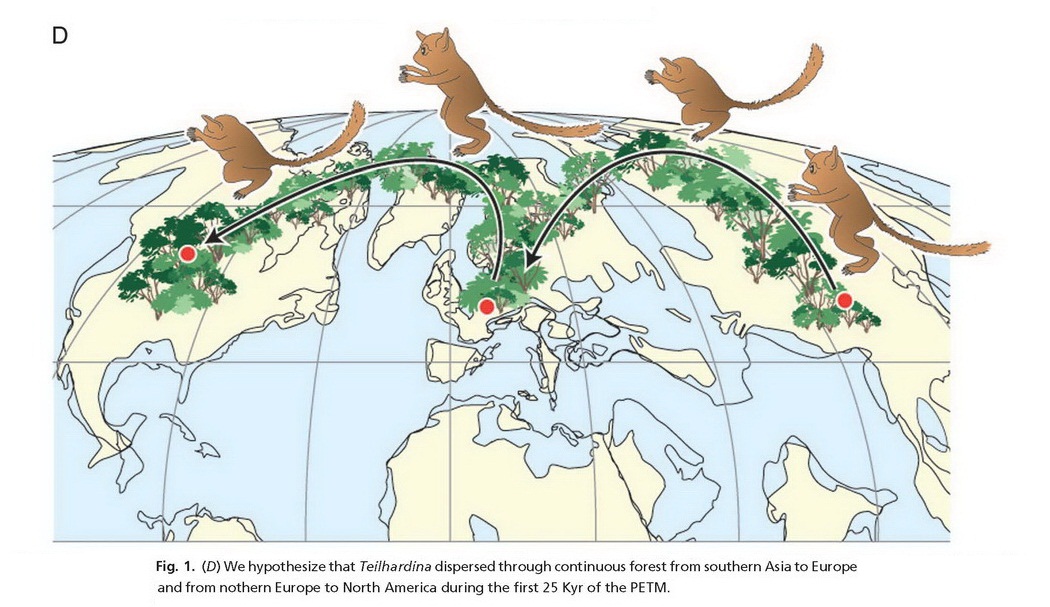 Species New to Science: [Palaeontology • 2006] Rapid Asia-Europe-North ...
