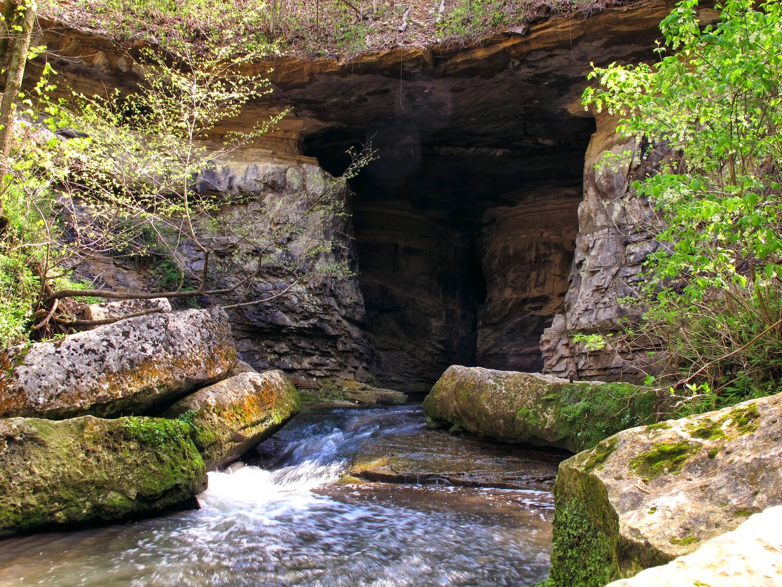 DONALDSON-BRONSON CAVES SPRING MILL - ADAM HAYDOCK