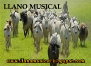 Cultura Llanera: Refranes y frases llaneras