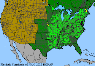 Restoring The Landscape With Native Plants: Native Plant of the Week ...