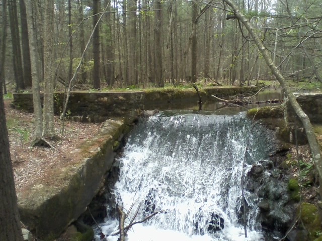 Camp Michaux: Cumberland County's secret WW2 POW camp
