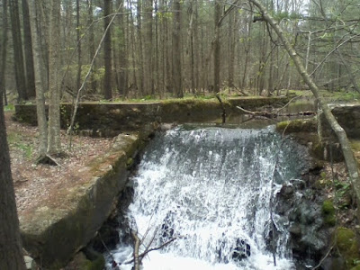 Camp Michaux: Cumberland County's secret WW2 POW camp