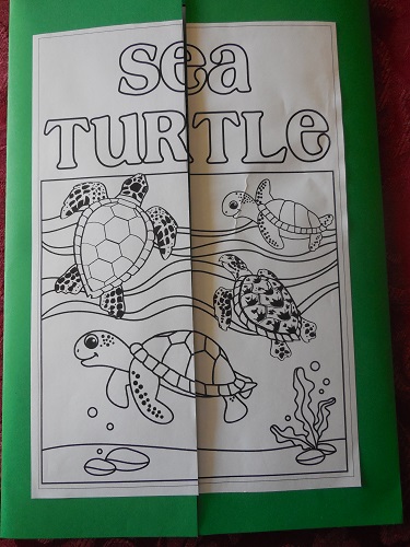 The Paper Maid: Interactive Sea Turtle Lapbook
