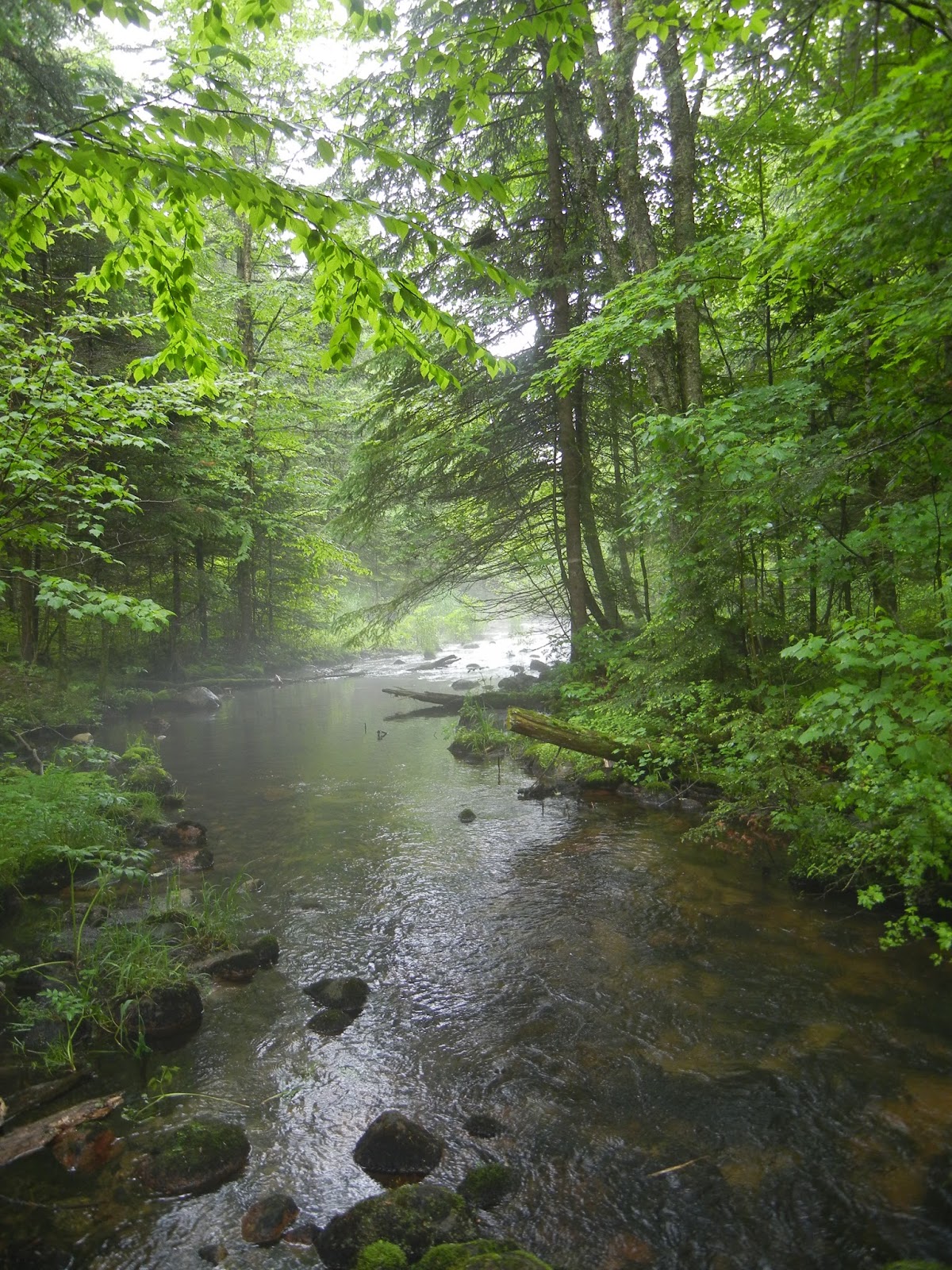 Hiking with Heather: Ice Age Trail: Plover River Segment