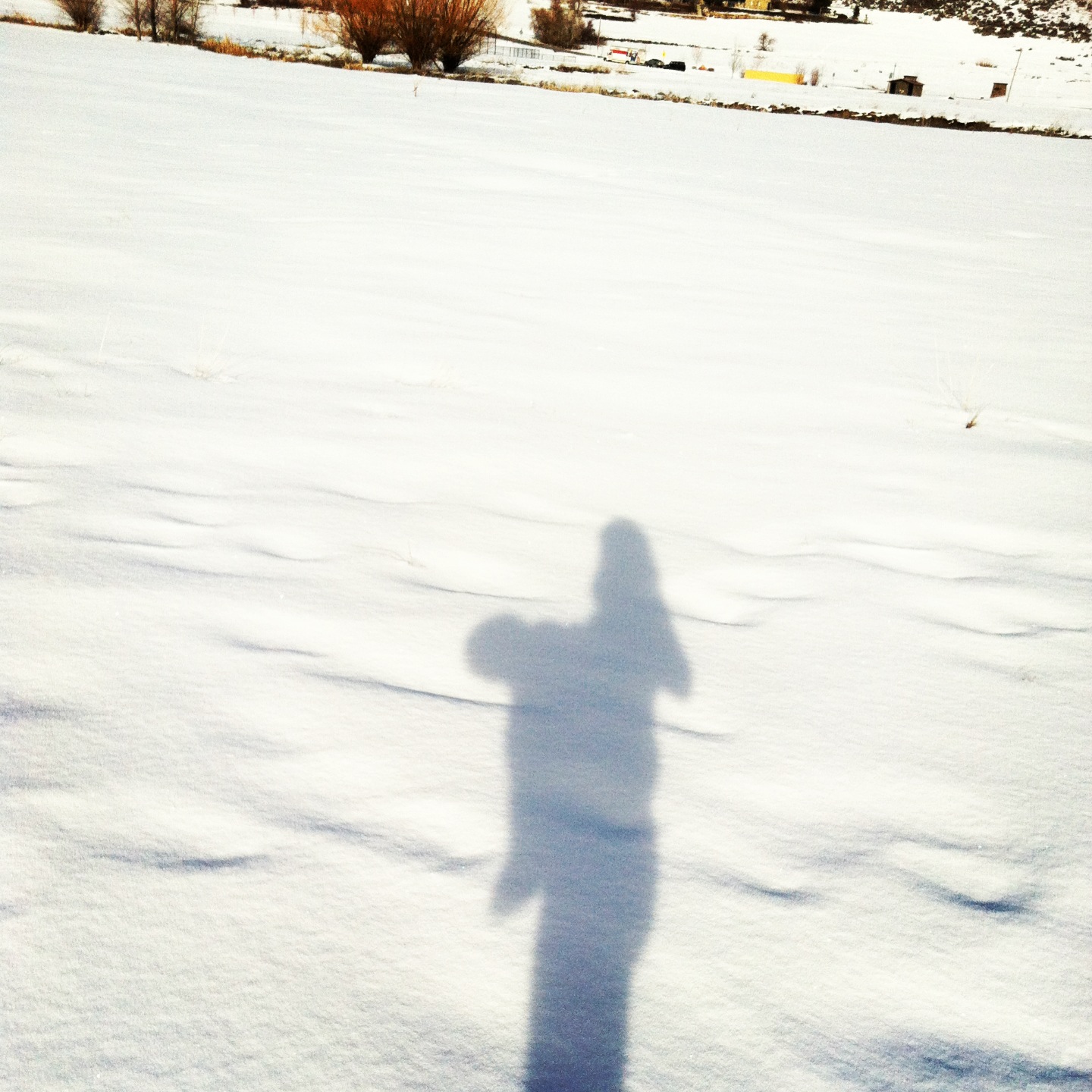 Nicole and Tyler Tolson