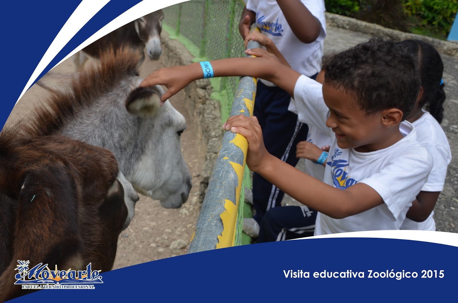 2015 ~ Escuela Técnico Profesional Movearte