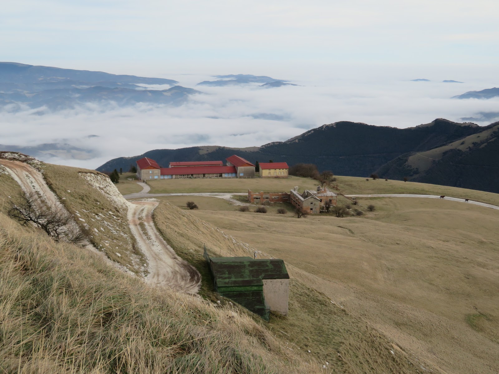 Itineris Mei: Escursione sul Monte Petrano: da Pian di Polea alla ...