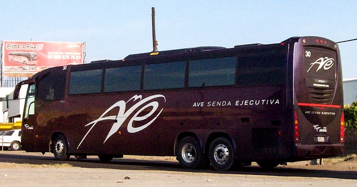 MAXIBUSES: AVE SENDA EJECUTIVA