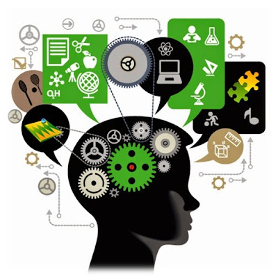 Bases Biológicas de la Conducta : El Cerebro con el Aprendizaje y la ...