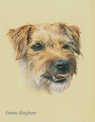 Emma Bingham's Art Journal: Womble Finished