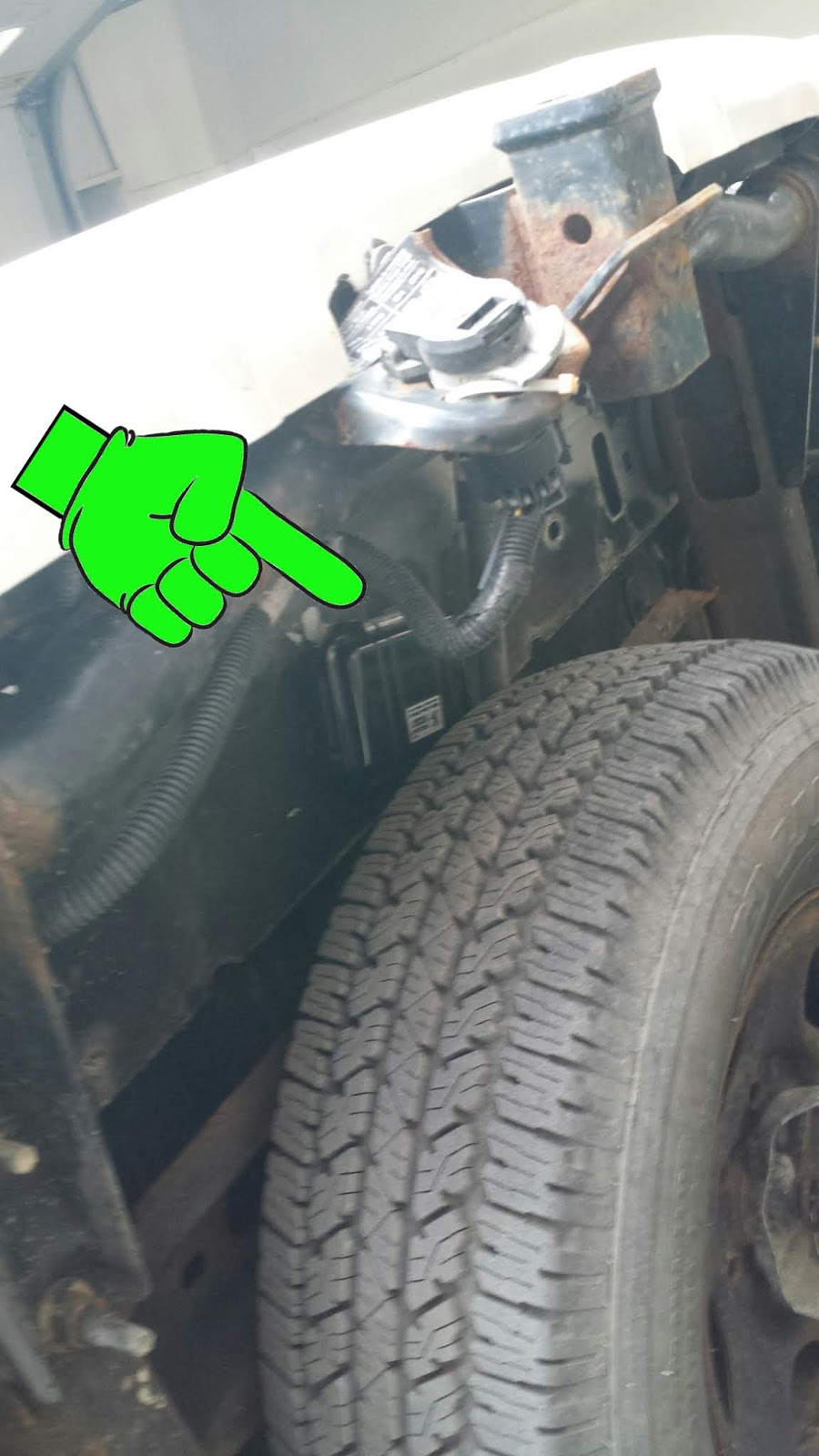 Lion News: What?!? David Rucki & Tammy Love Conspired To Stalk Sandra ...