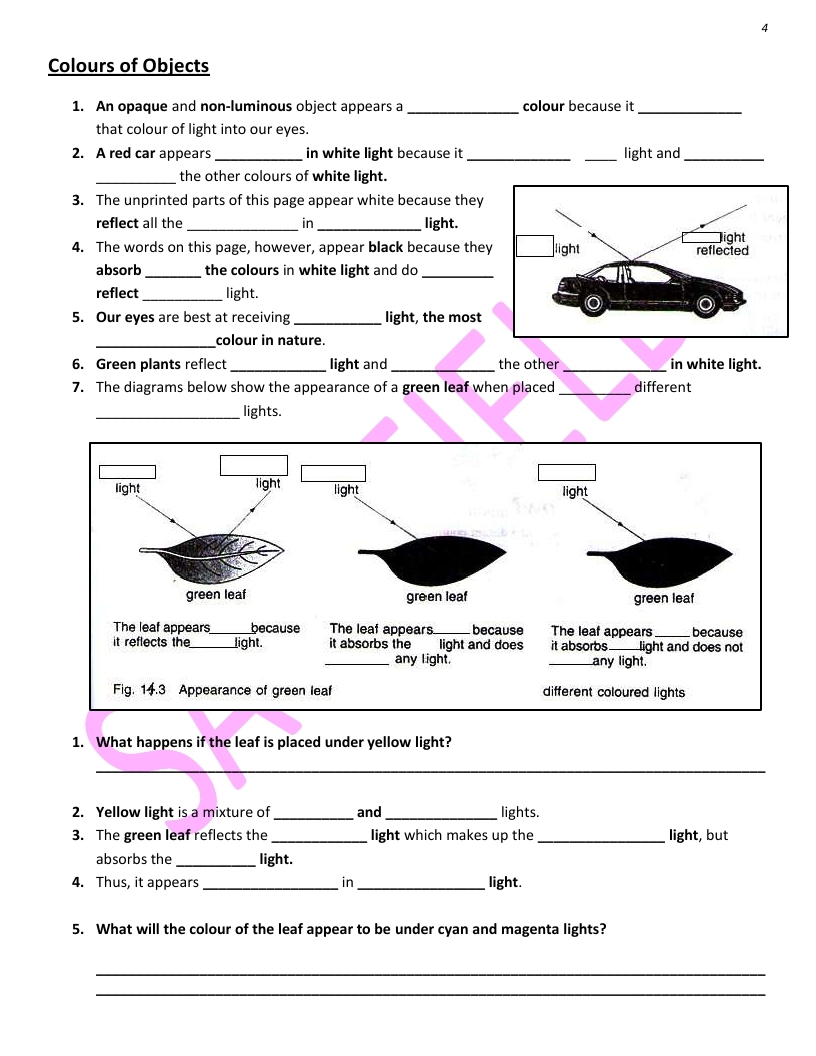 SCIENCE Secondary Two: Science Sec 2 Chapter 14E
