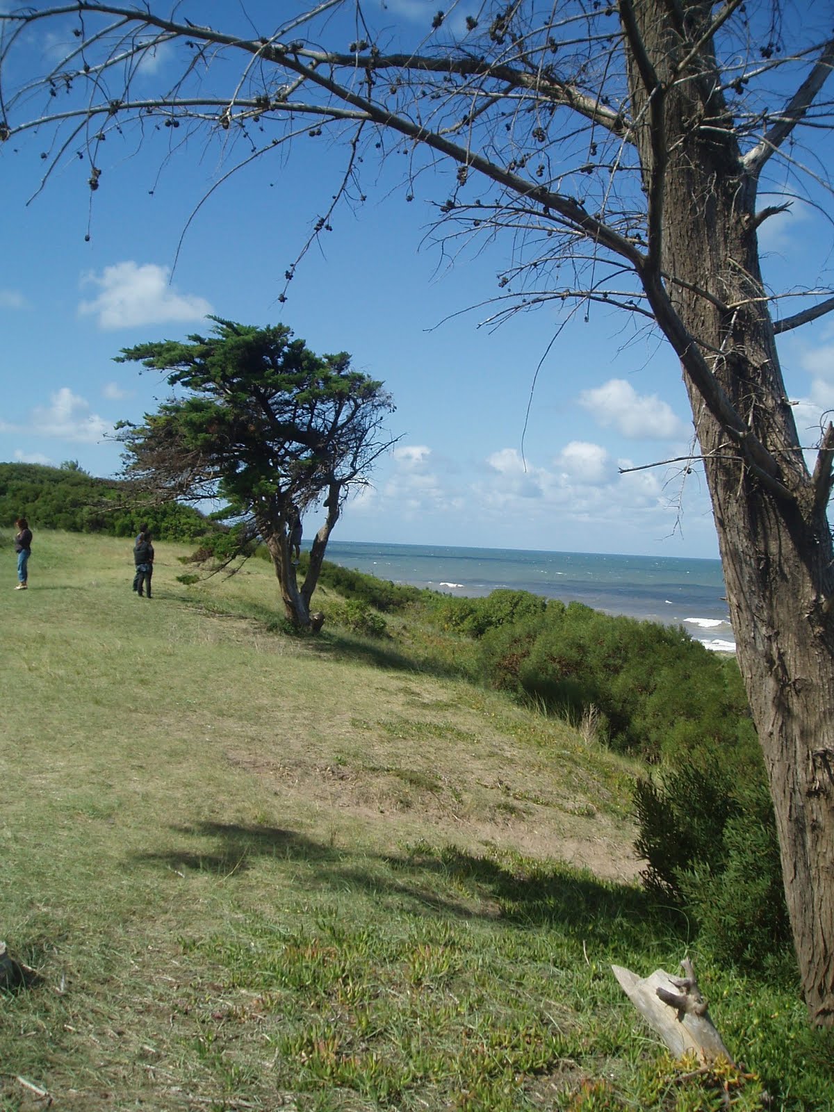 Deptos Miramar de Ana Maria