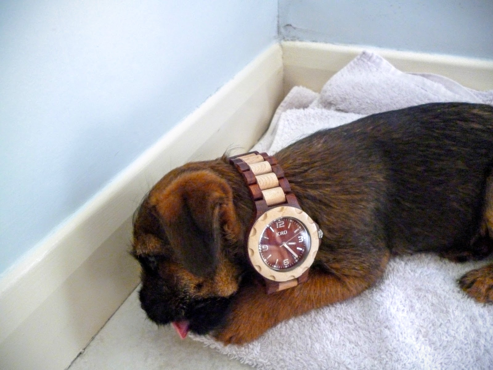 TM's Blog: A Great Gift for a Great Dad this Father's Day