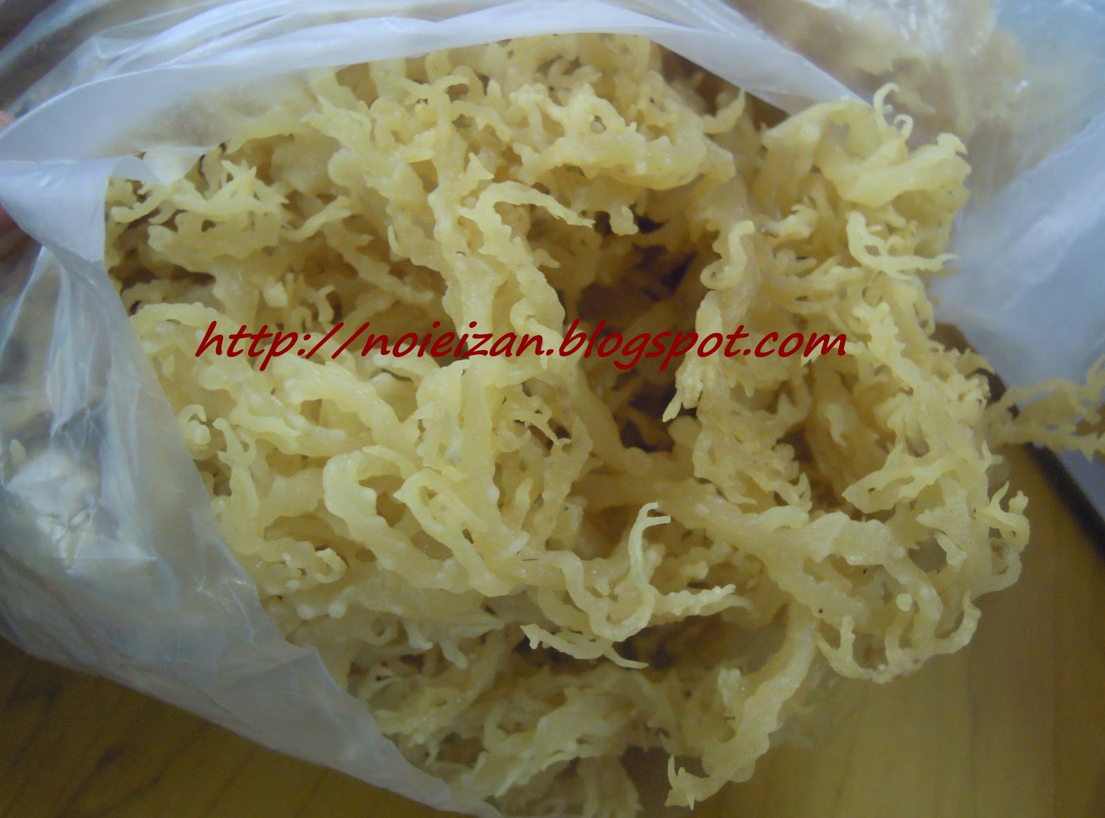 :. Membekal Rumpai Laut Dan Khasiatnya .: ~ ~Noieizan2U~