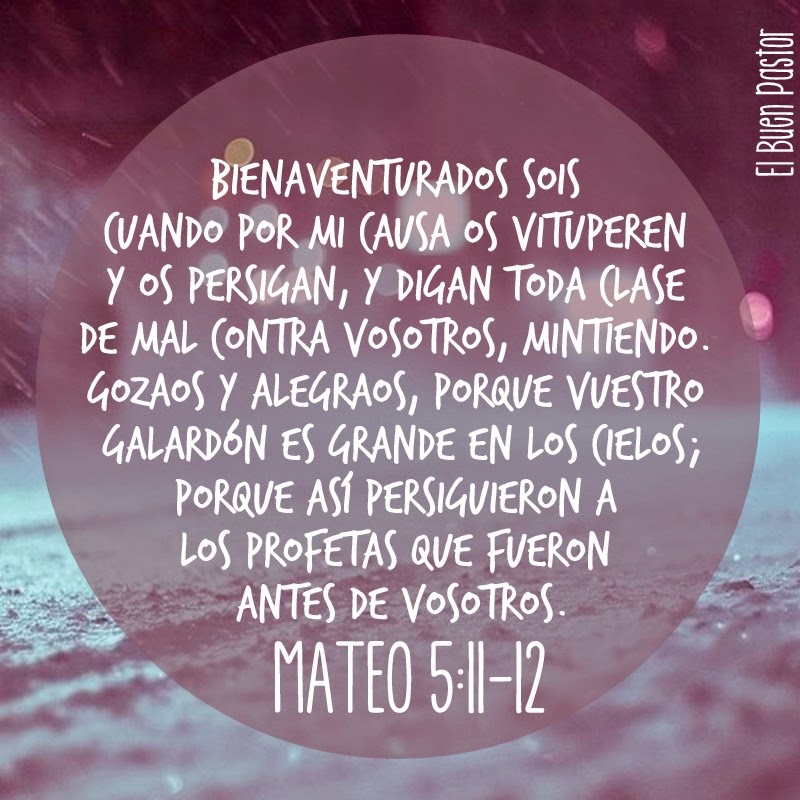 YO SOY EL BUEN PASTOR: noviembre 2014