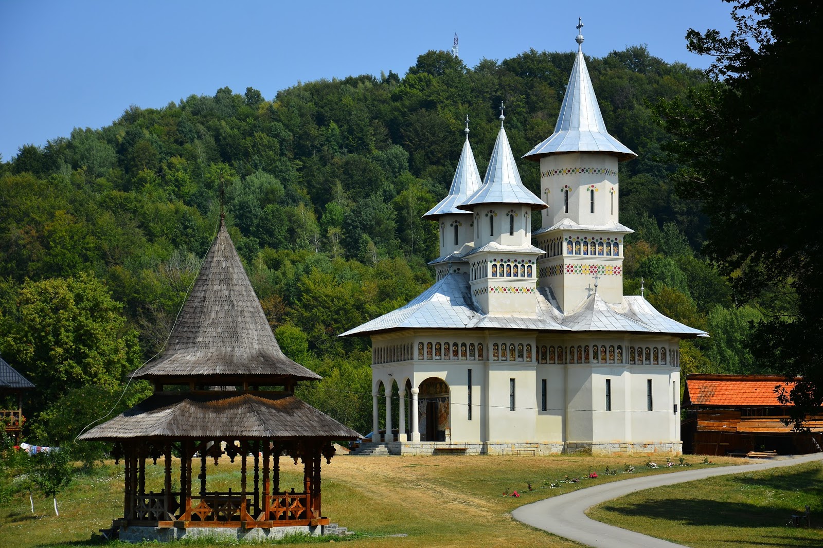 passion and art - the camera can see what our eyes can't - only for ...