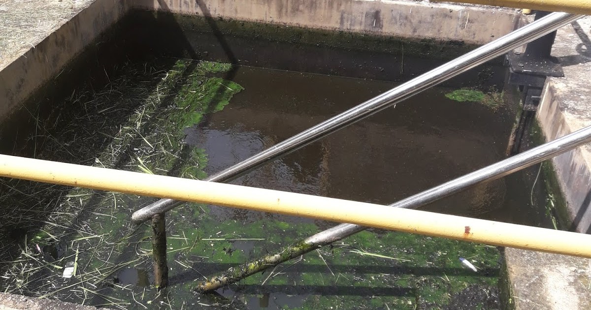 aku Dayat: Lawatan Penyelenggaraan Sistem Rawatan Kumbahan STP