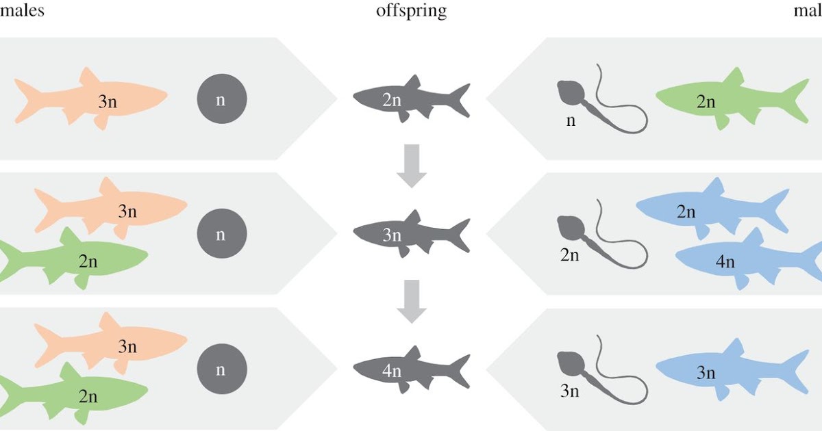 Desafiando a Nomenklatura Científica: Primeira evidência empírica de ...
