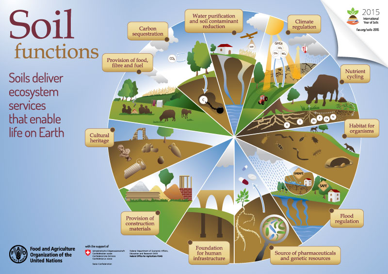 Basics of Soils and it's functions