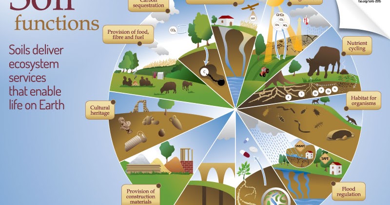 Basics Of Soils And It s Functions basics-of-soils-and-it-s-functions