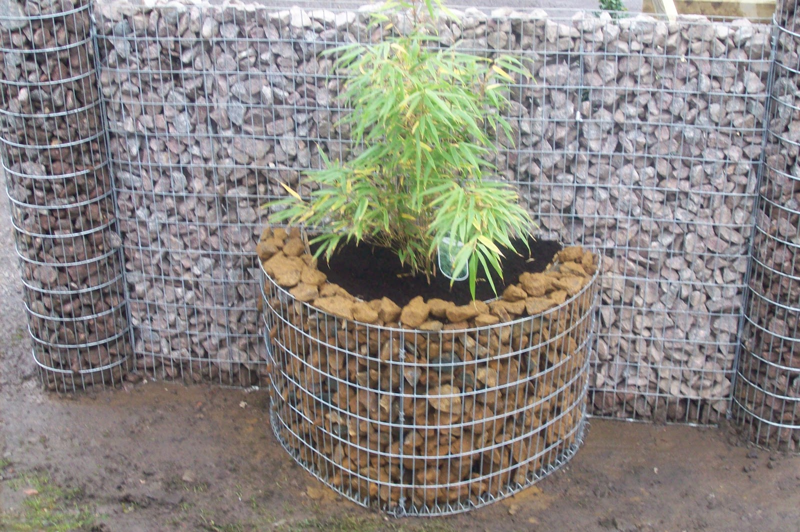 Gabiony - modne, praktyczne i ekologiczne ogrodzenia: Gabiony szturmem ...