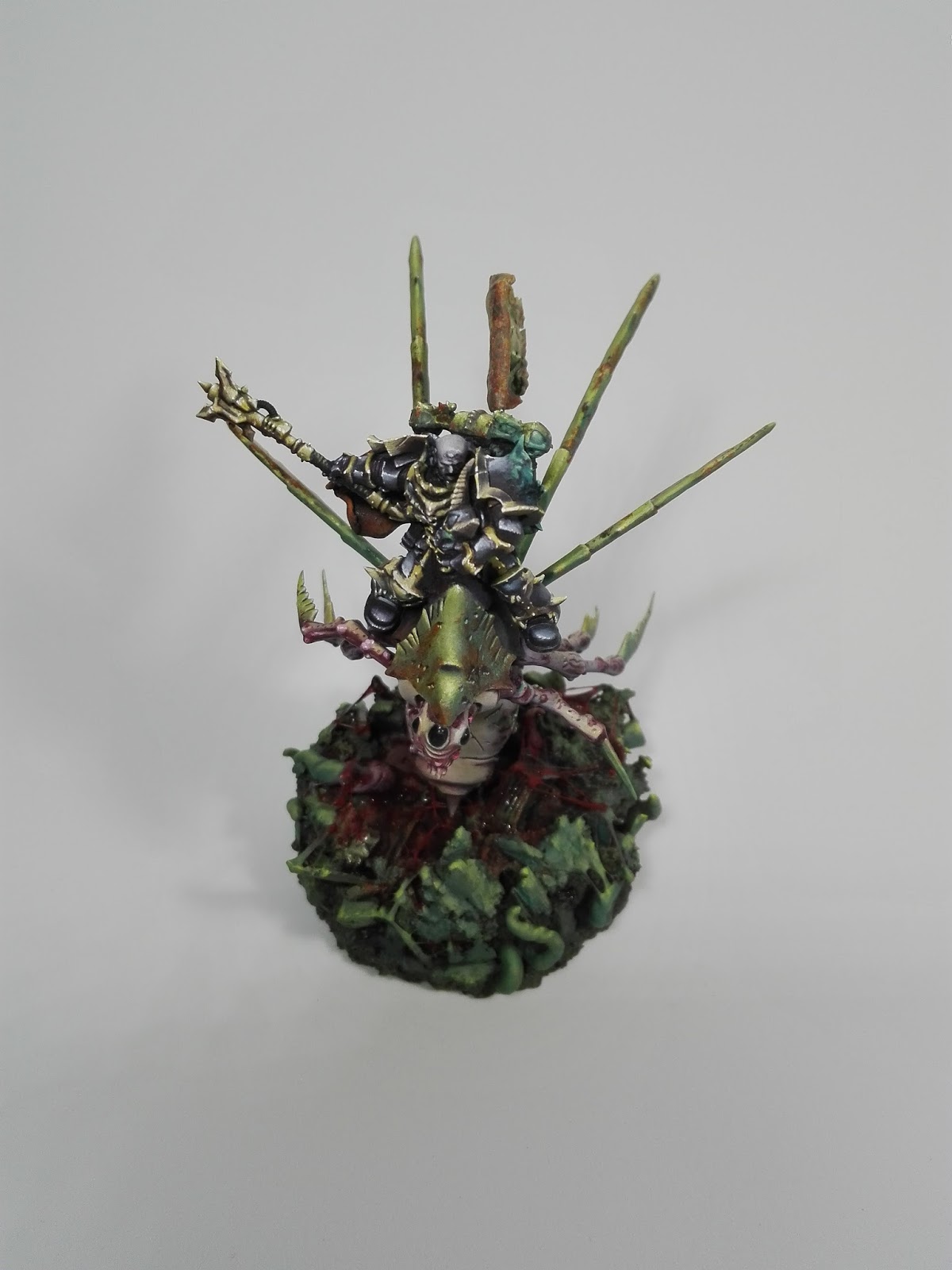Nurgle fly + 40k Chaos chosen: «NURGLED»