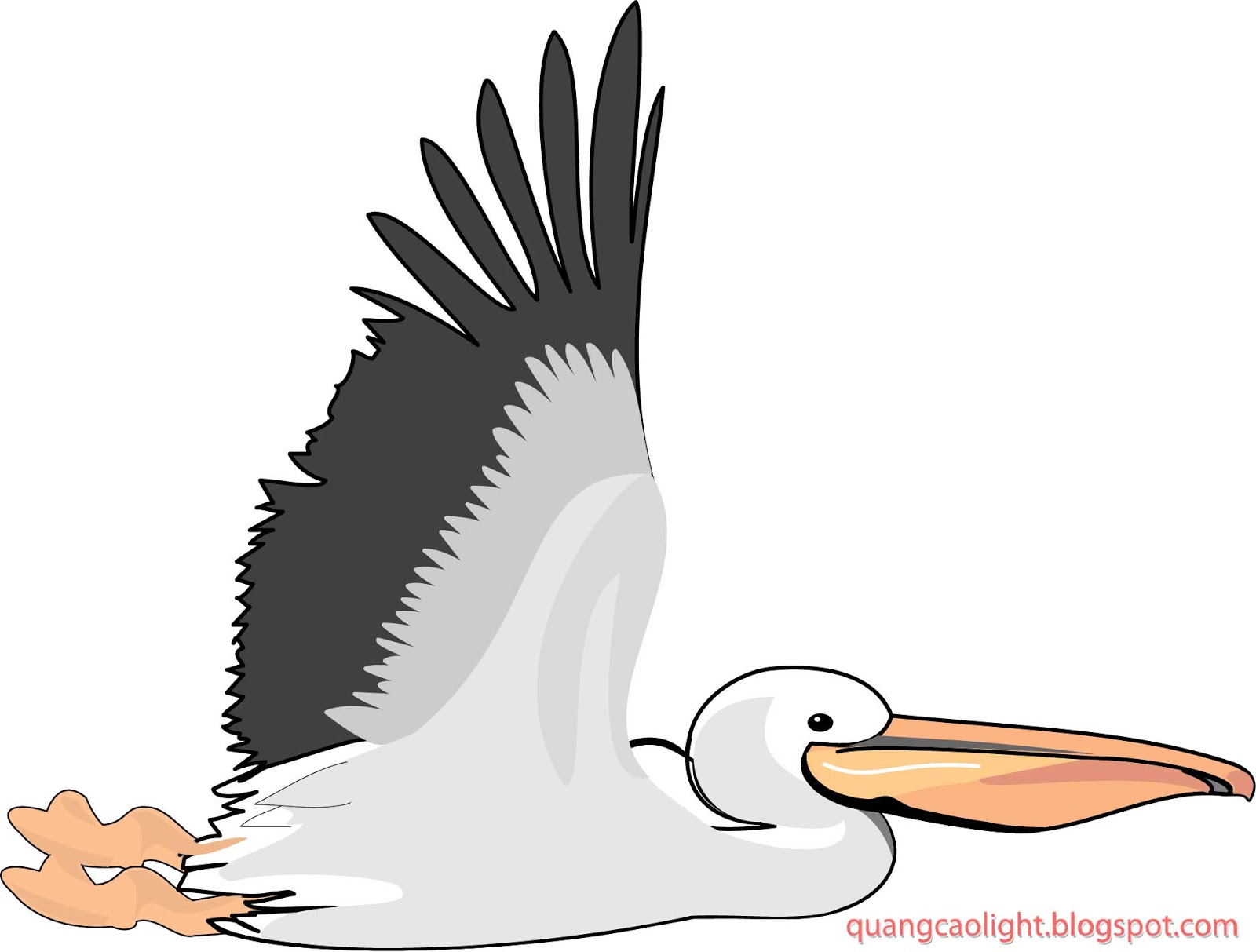 Các loài Chim file Vector (Phần 3) - công ty in ấn