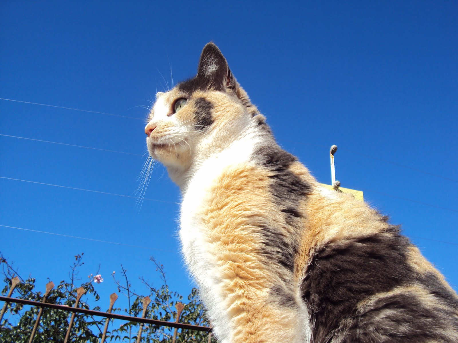 Seres da Minha Natureza: setembro 2012