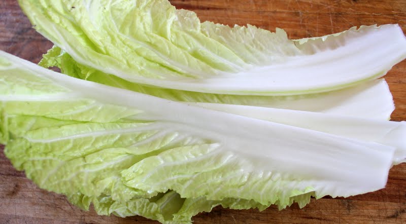 My Mountain Garden Gleanings: Sui Choy Salad