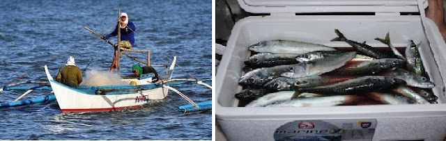 Mga Tula Nang Mangingisda