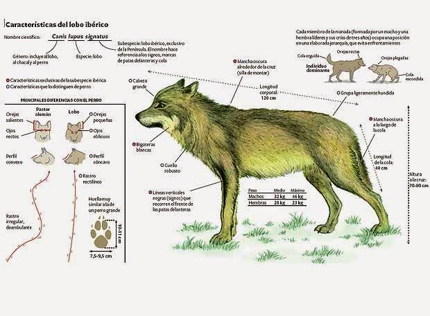 La cucala educativa: junio 2014