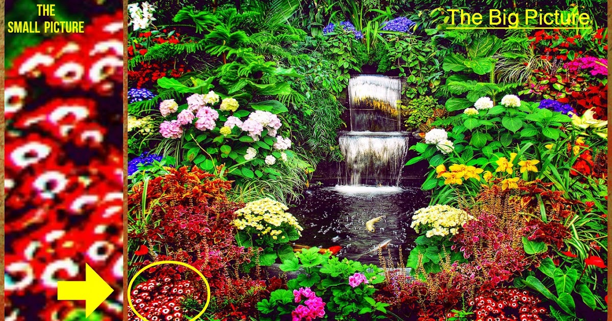 StudyLearnLife: Study Tips for Life-Long Learners: The Focused and ...