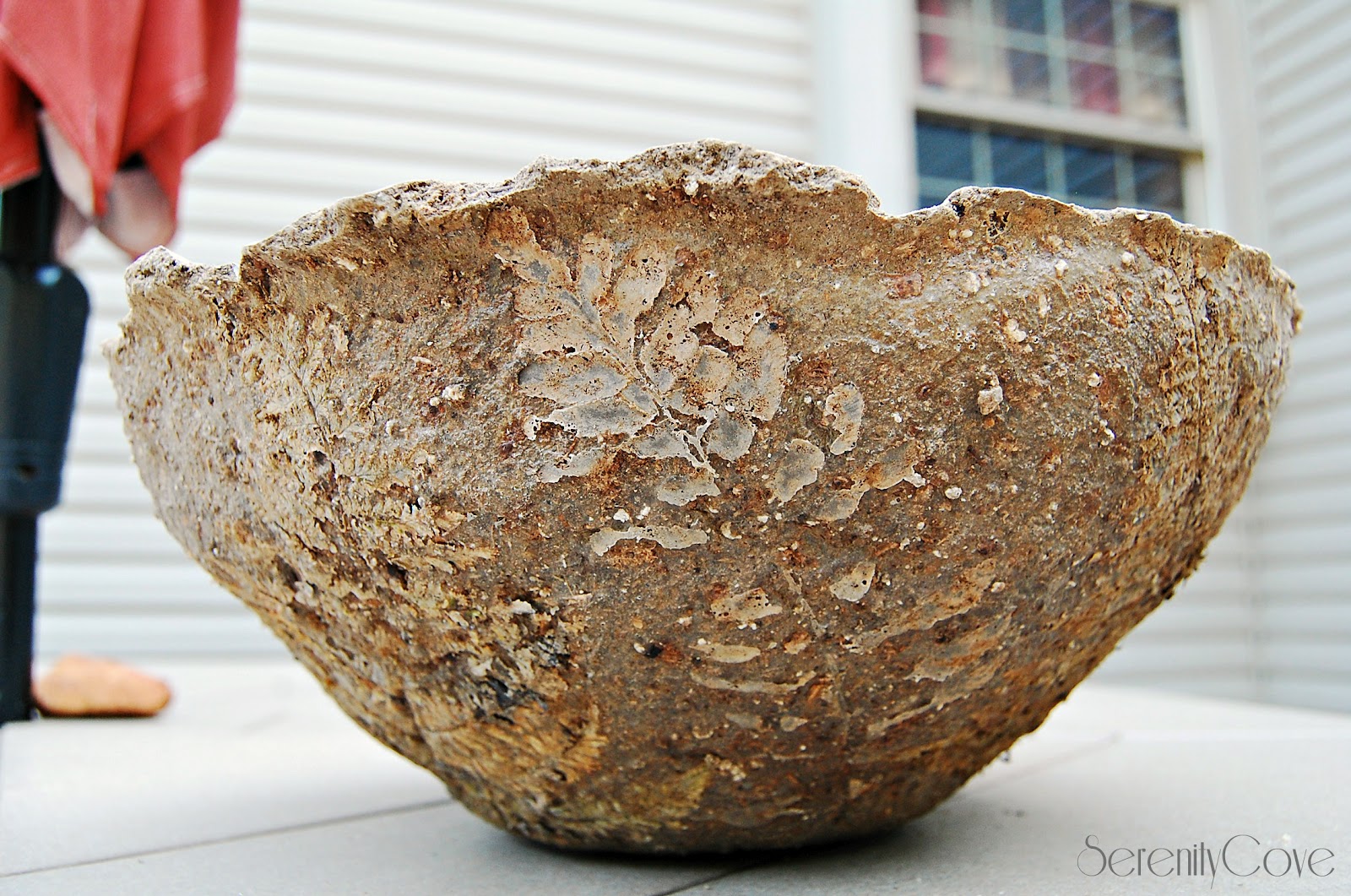 Serenity Cove: Hypertufa Bowl