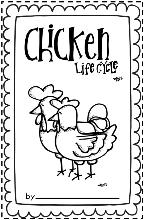 Life Cycle Of A Chicken Coloring Page