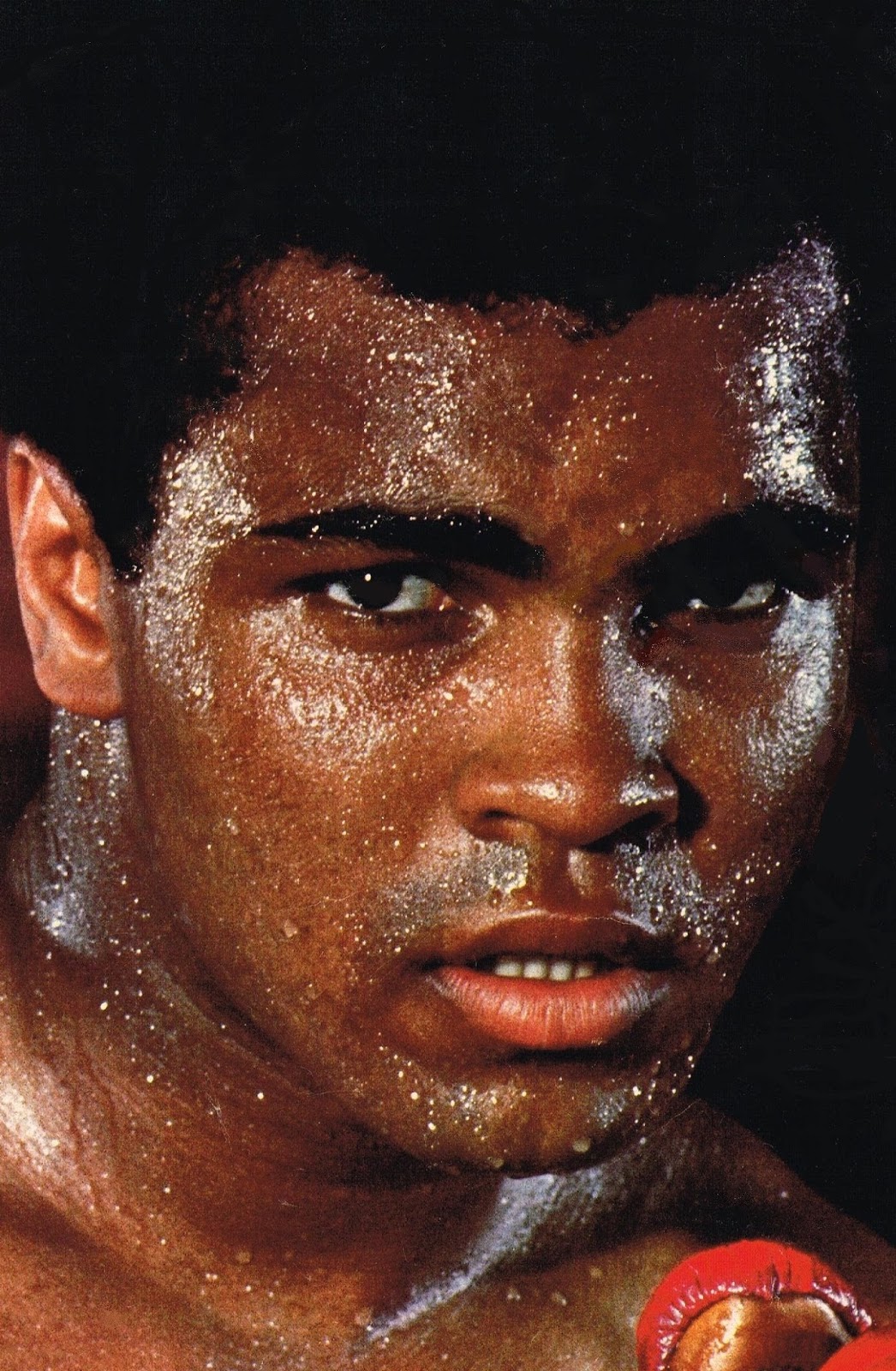 oz.Typewriter: Actual Size of Ali's Fist