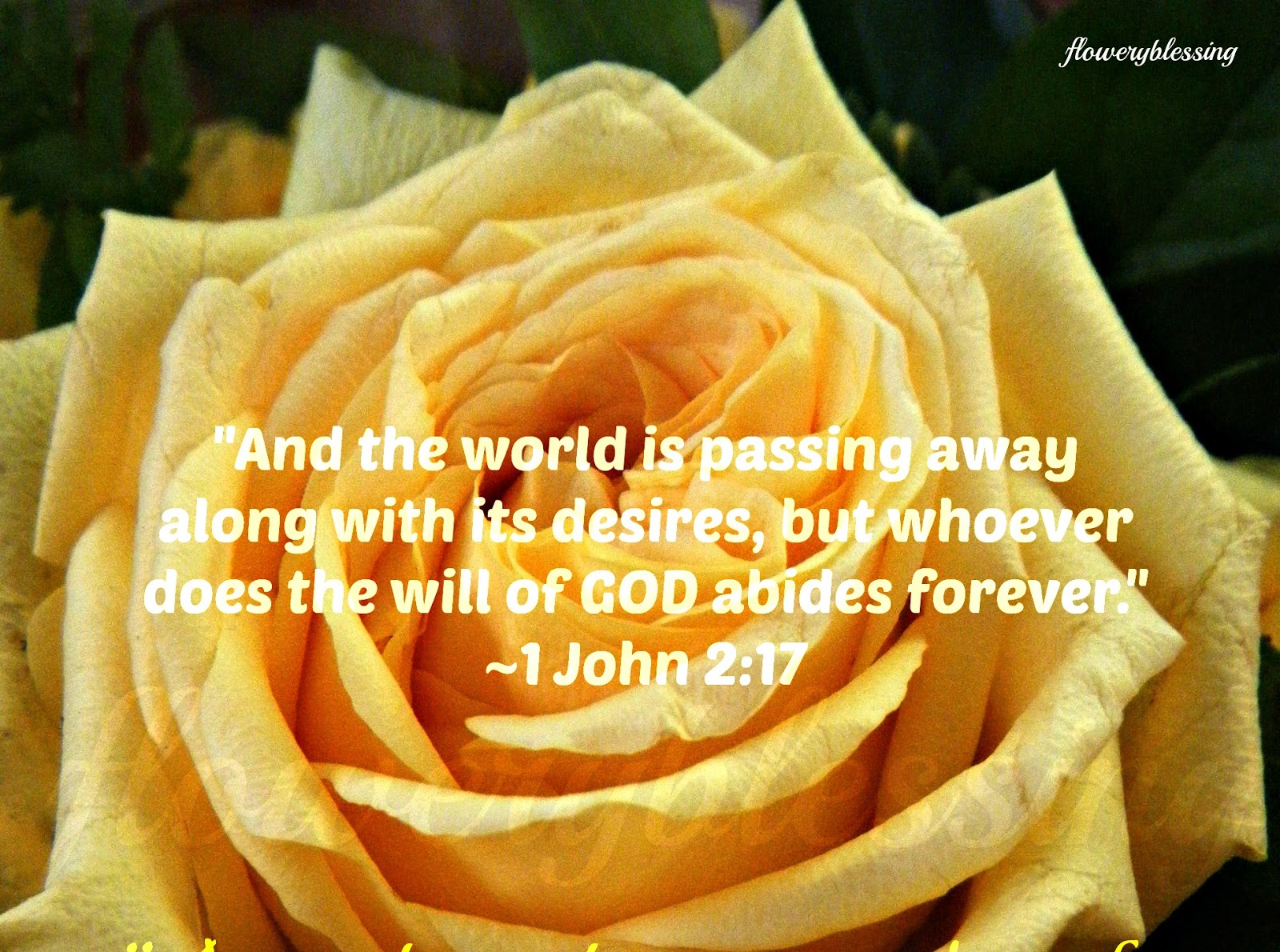 Flowery Blessing And The World Is Passing Away Along With Its Desires flowery-blessing-and-the-world-is-passing-away-along-with-its-desires