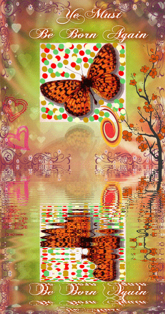 Born Again Signs / Glitter Too