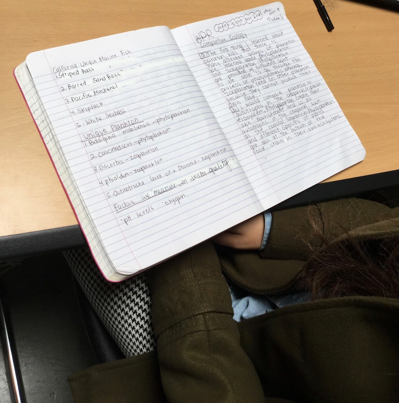 Interactive Notebooks For Middle And High School Teaching Science interactive-notebooks-for-middle-and-high-school-teaching-science