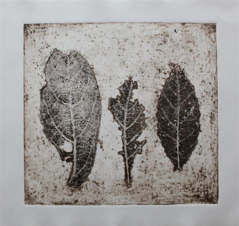 short snippets: Collagraph printing workshop.