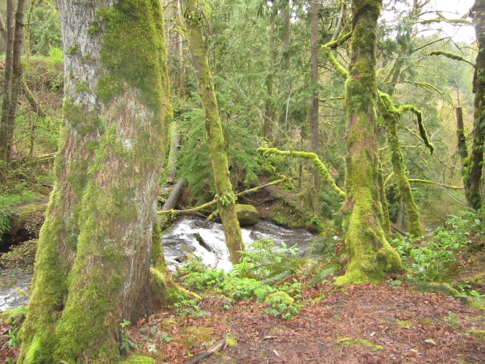 Washington Seattle Mission